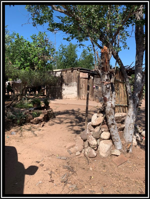 Humanitarian Aid - Pascua Yaqui Tribe Charitable Organization